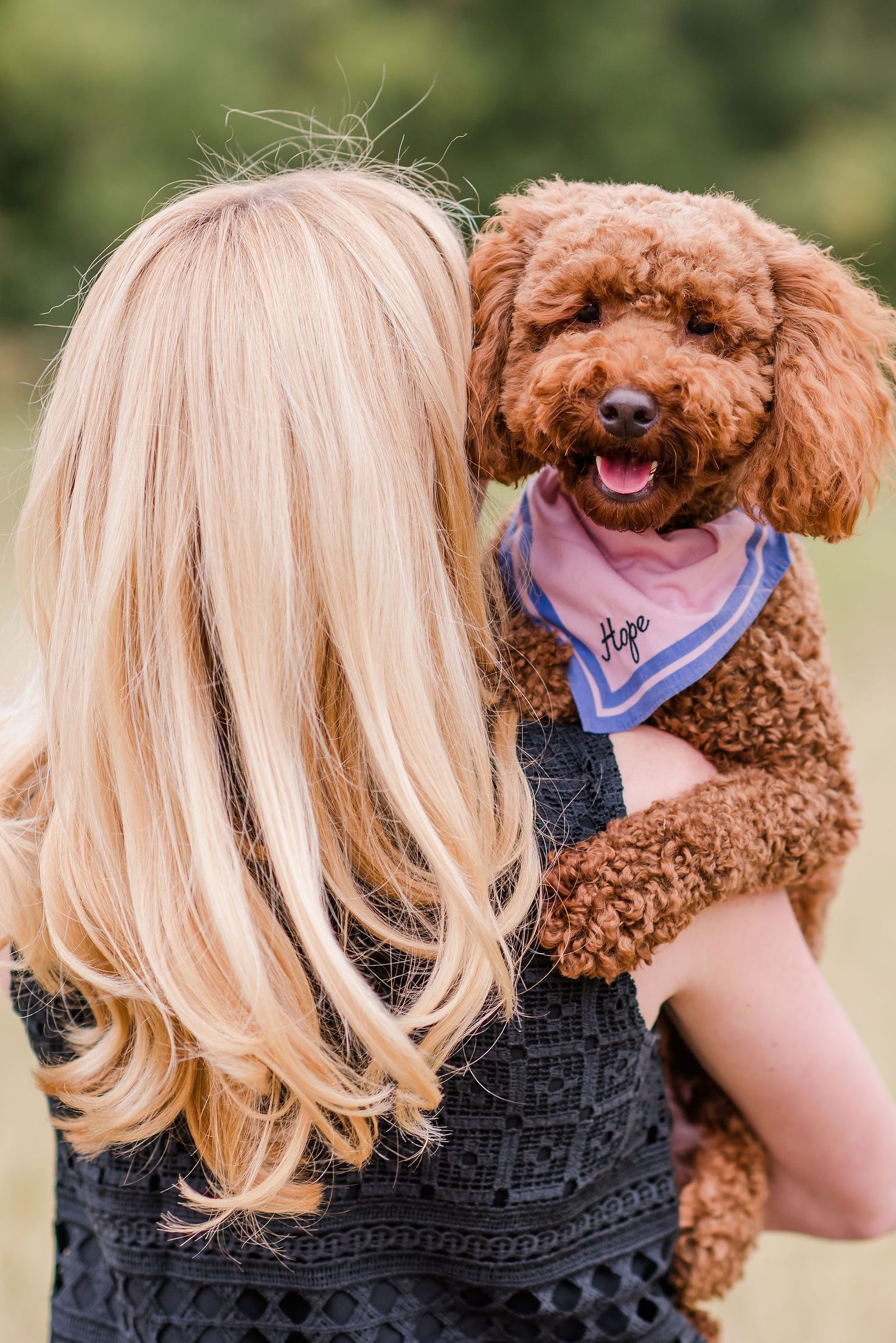 Allison Davis – author